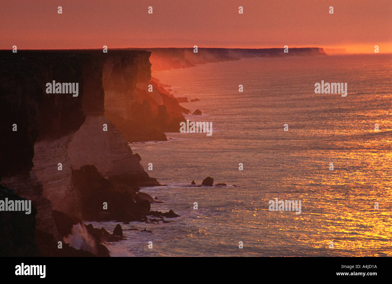 Bunda cliffs eroded limestone coast Great Australian Bight South ...