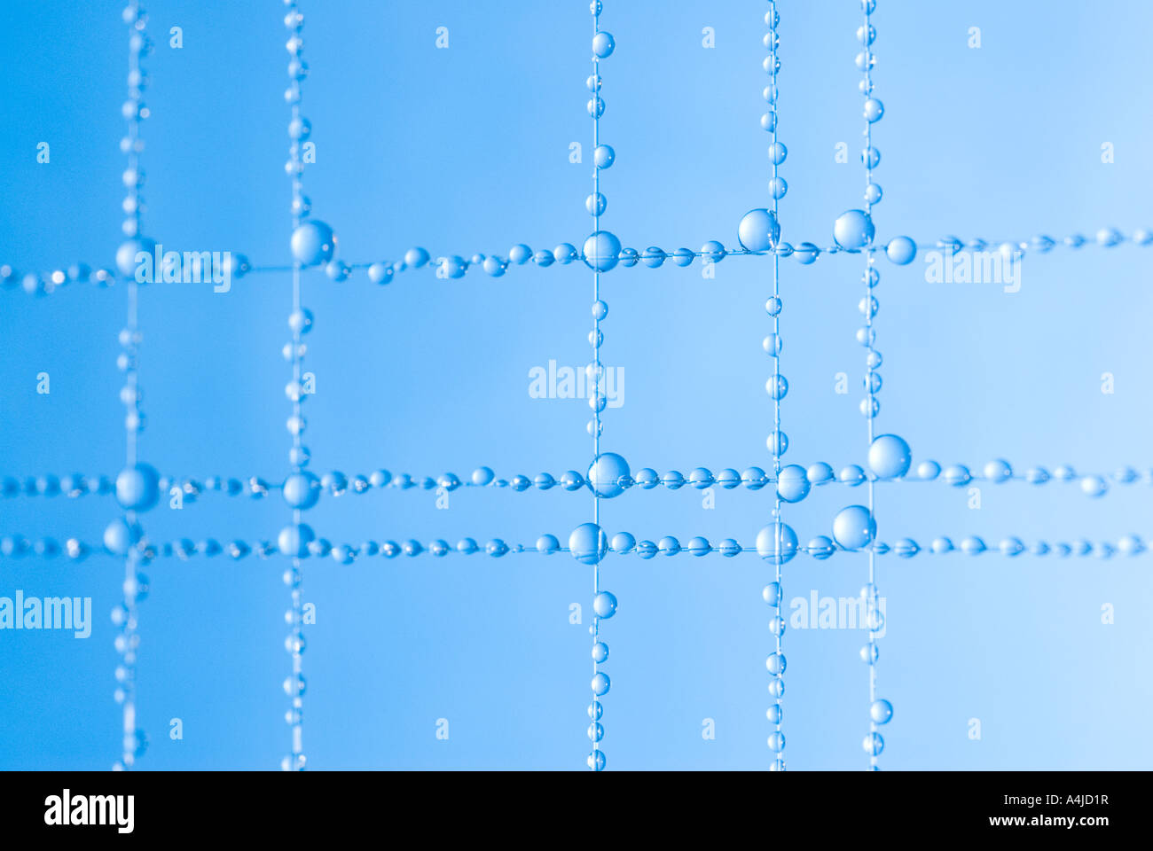 many small blue water drops hanging on a thin cord like small spheres ...