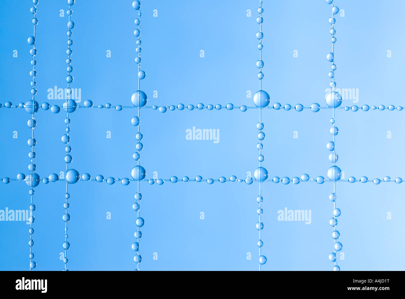 many small blue water drops hanging on a thin cord like small spheres ...