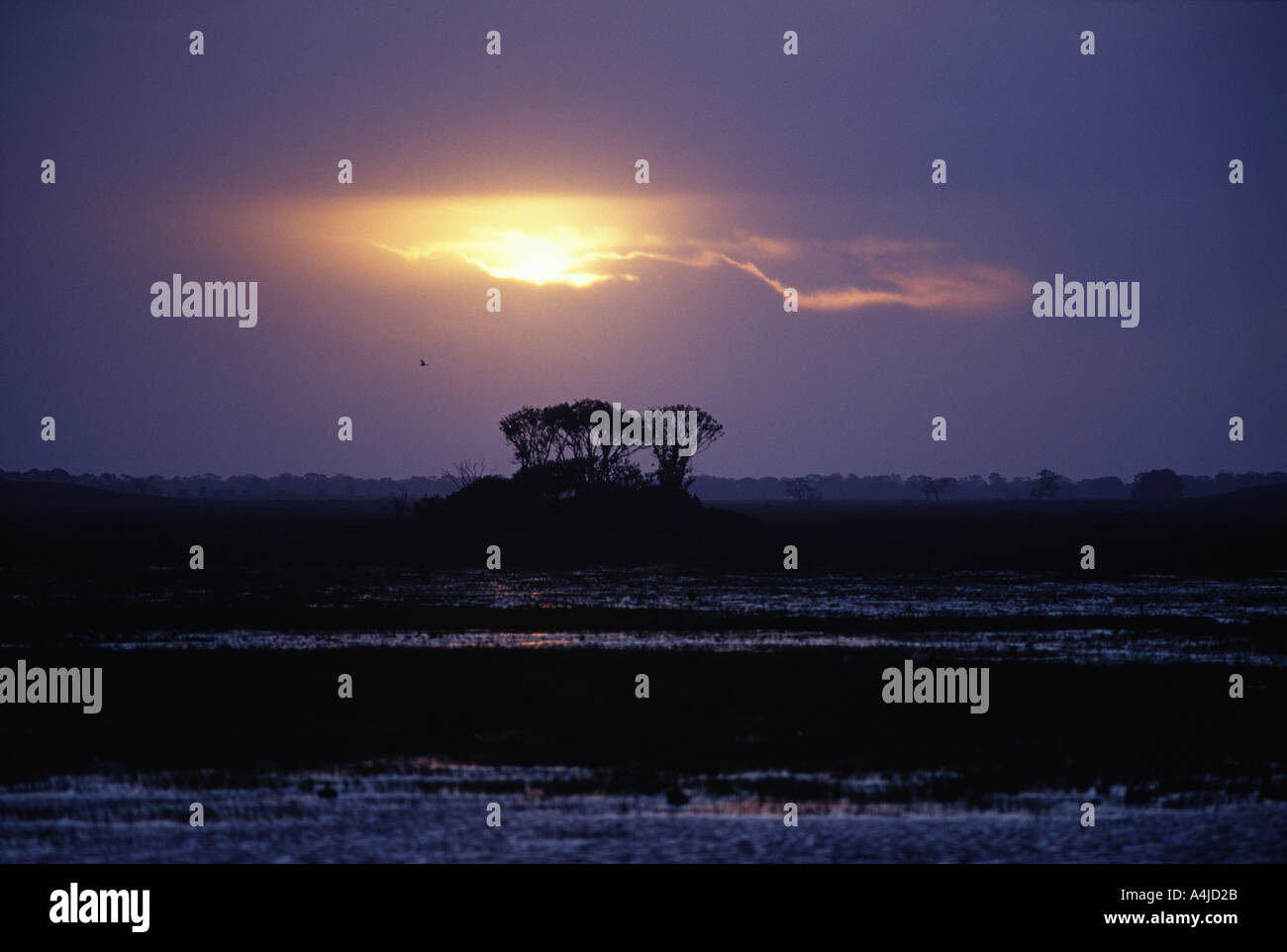 Wetlands bool lagoon south australia hi-res stock photography and ...