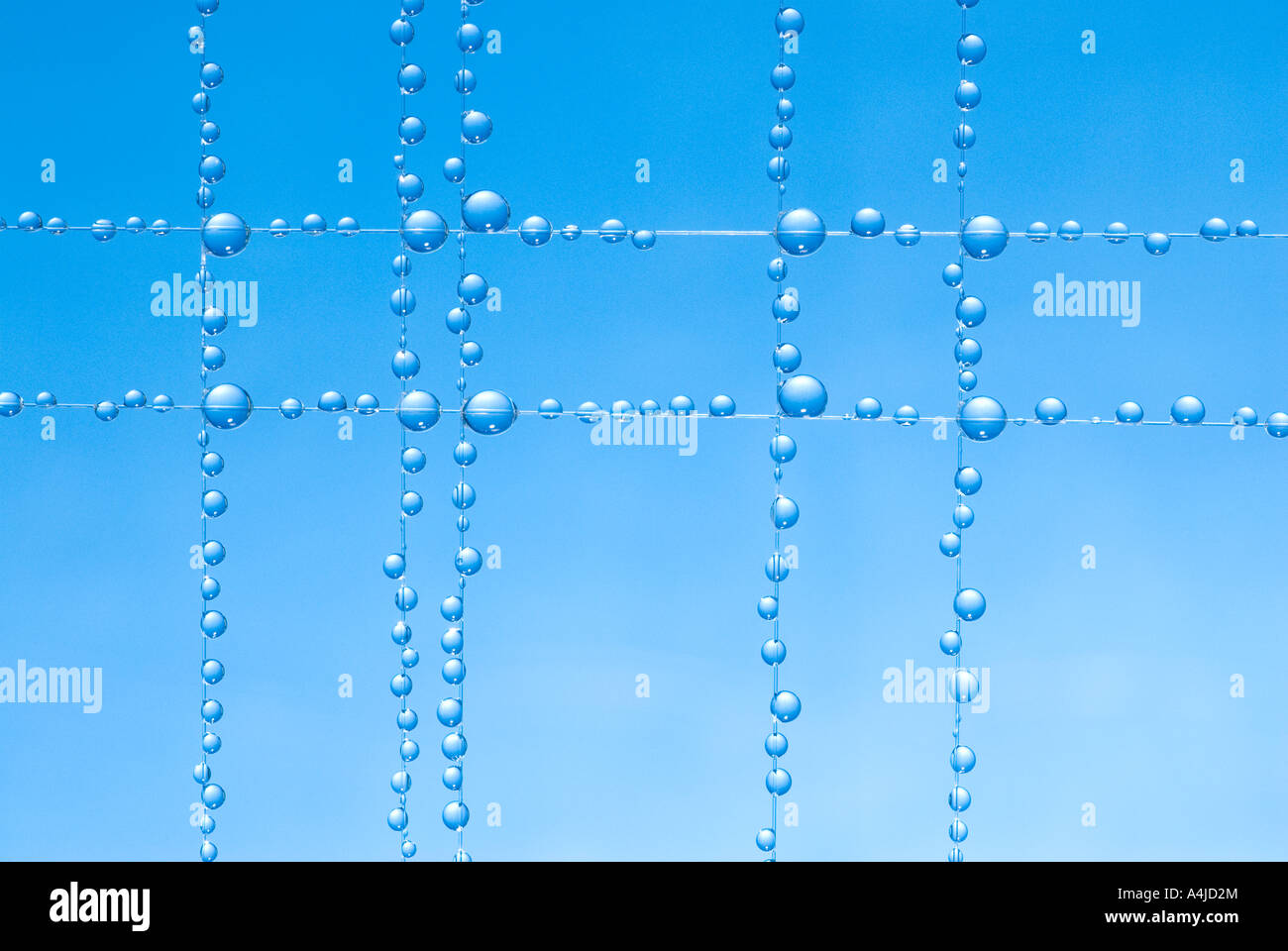 many small blue water drops hanging on a thin cord like small spheres ...