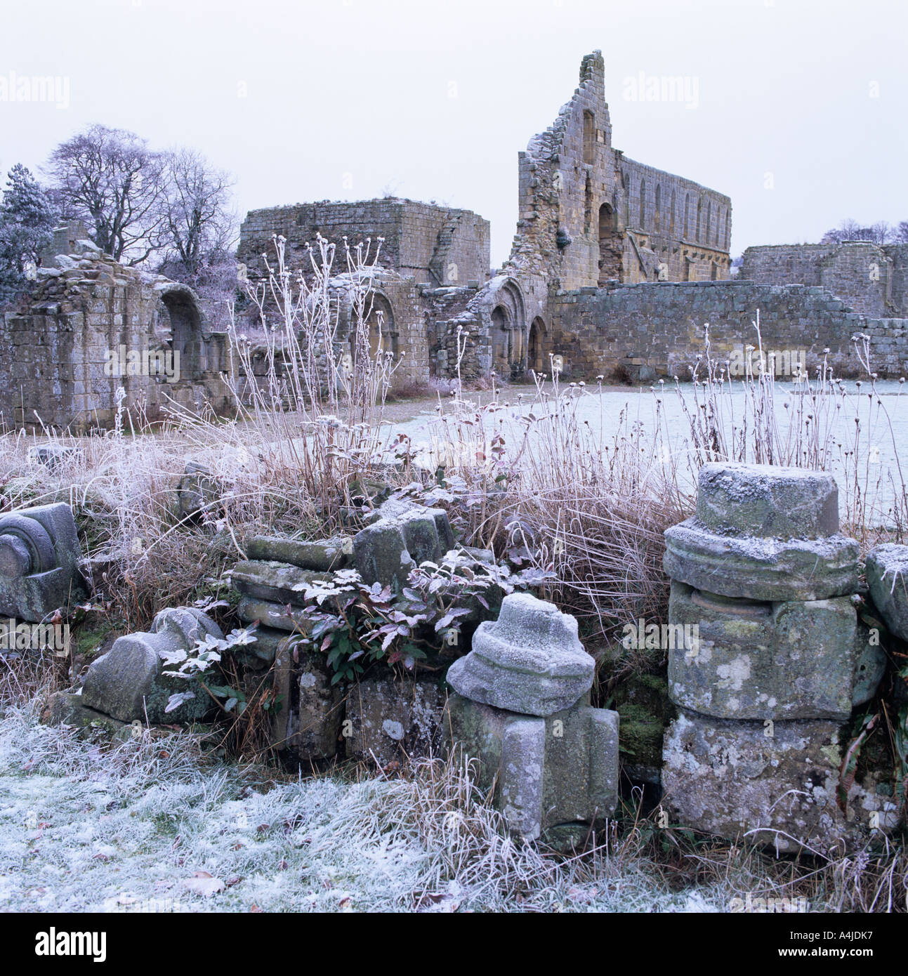 Jervaulx abbey yorkshire hi-res stock photography and images - Alamy