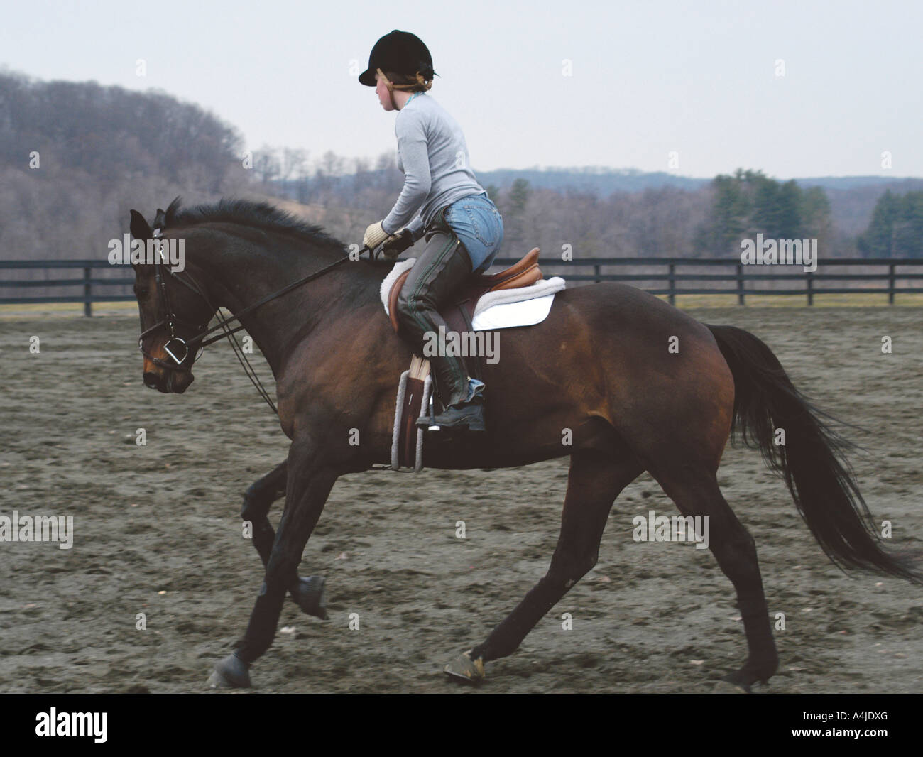 Girl riding a running horse with helmet hi-res stock photography and ...
