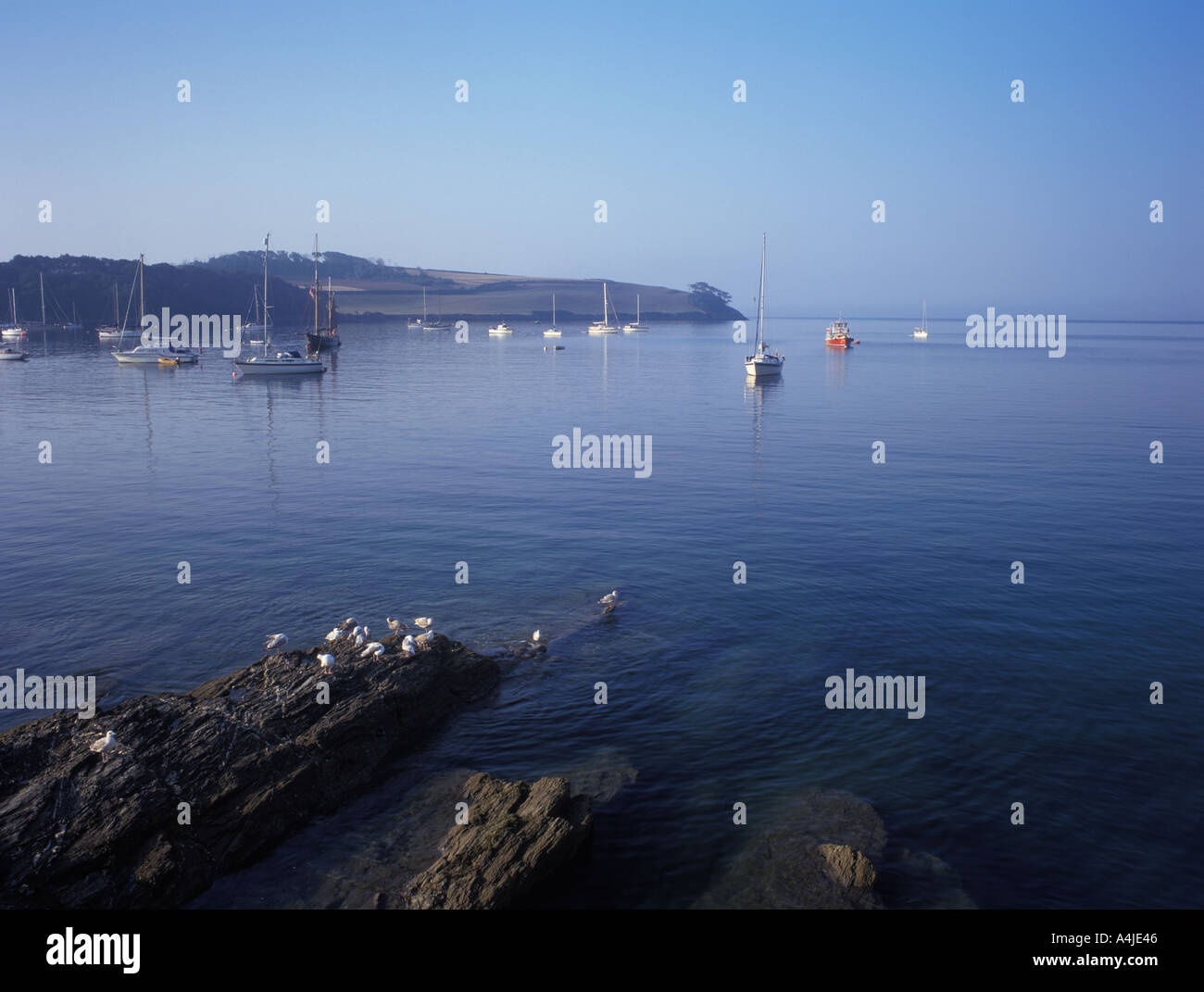 Percuil cornwall hi-res stock photography and images - Alamy