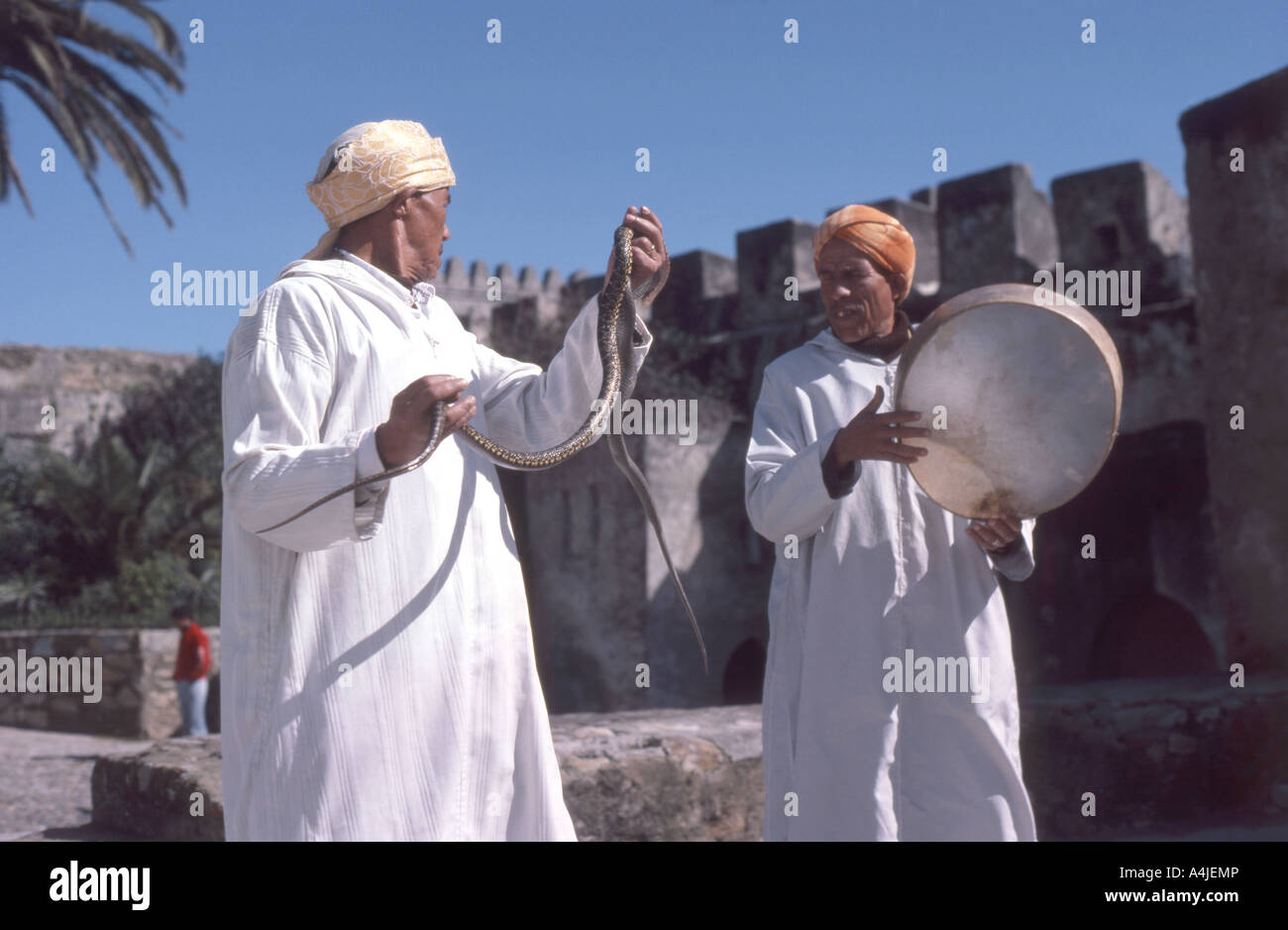 Snake Charmers, The Souk, Tangier, Tangier-Tétouan Region, Morocco ...