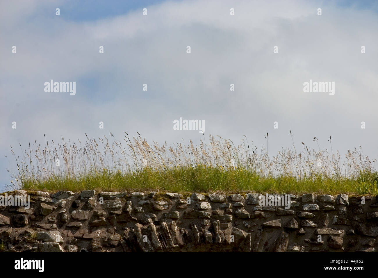 Old stone fence in the highlands of Scotland UK United Kingdom Stock ...