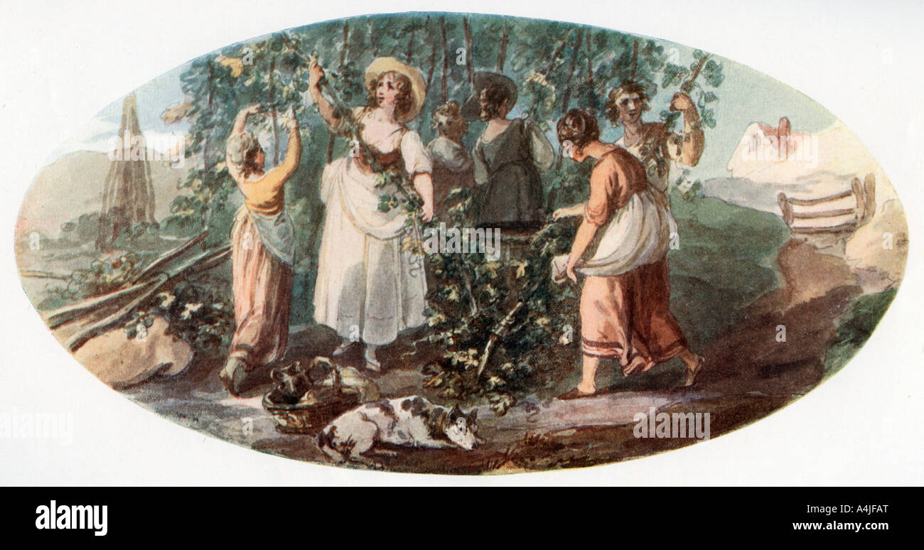 'Hop Picking', (1912).Artist: William Hamilton Stock Photo - Alamy