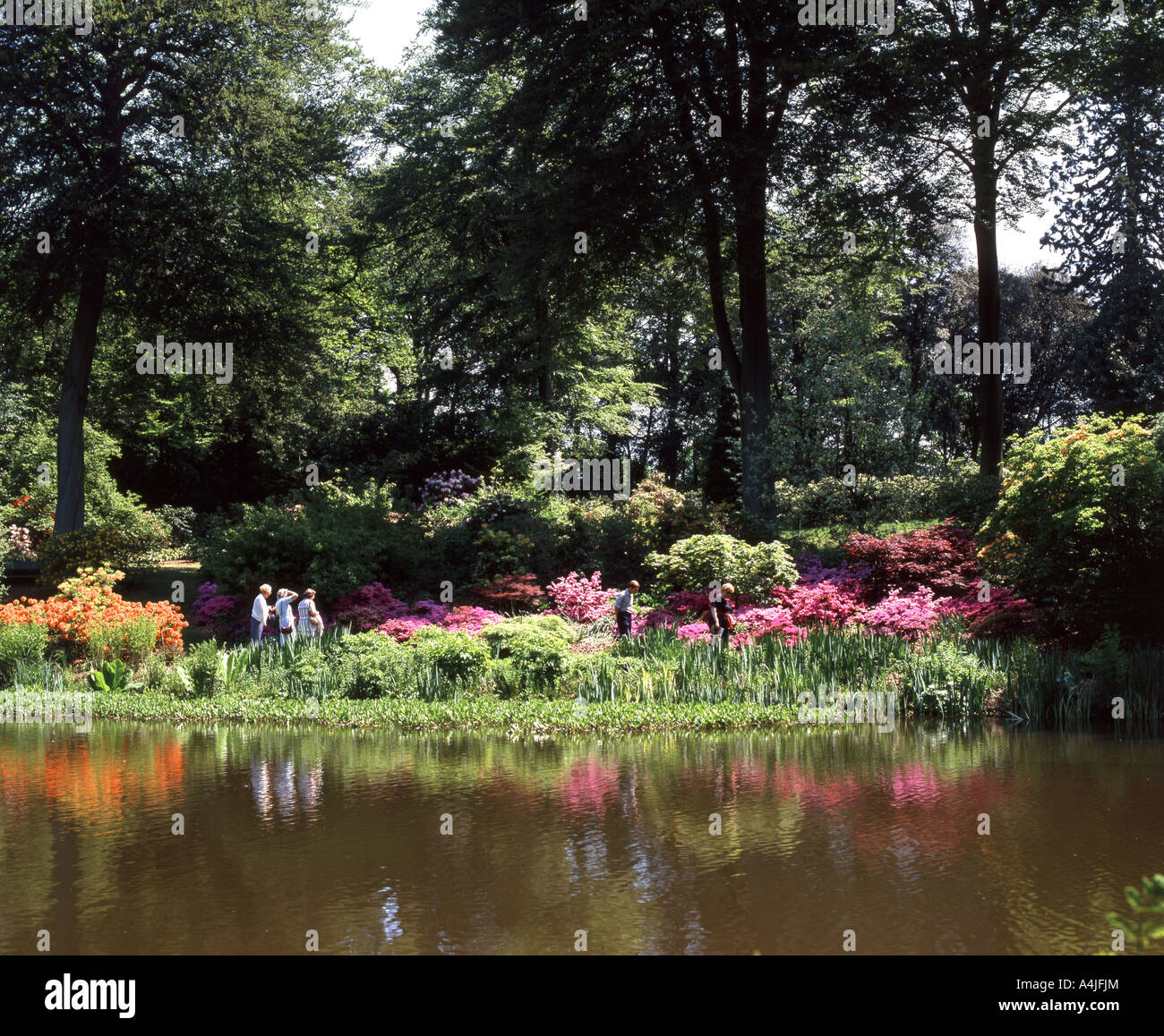 Savill Garden, Windsor Great Park, Englefield Green, Berkshie, England ...