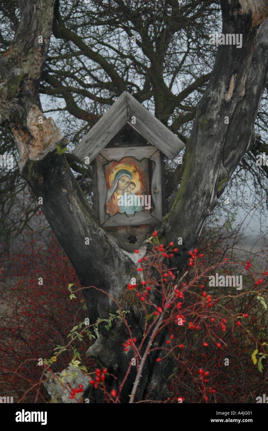 Virgin Mary shrine on a tree Stock Photo - Alamy