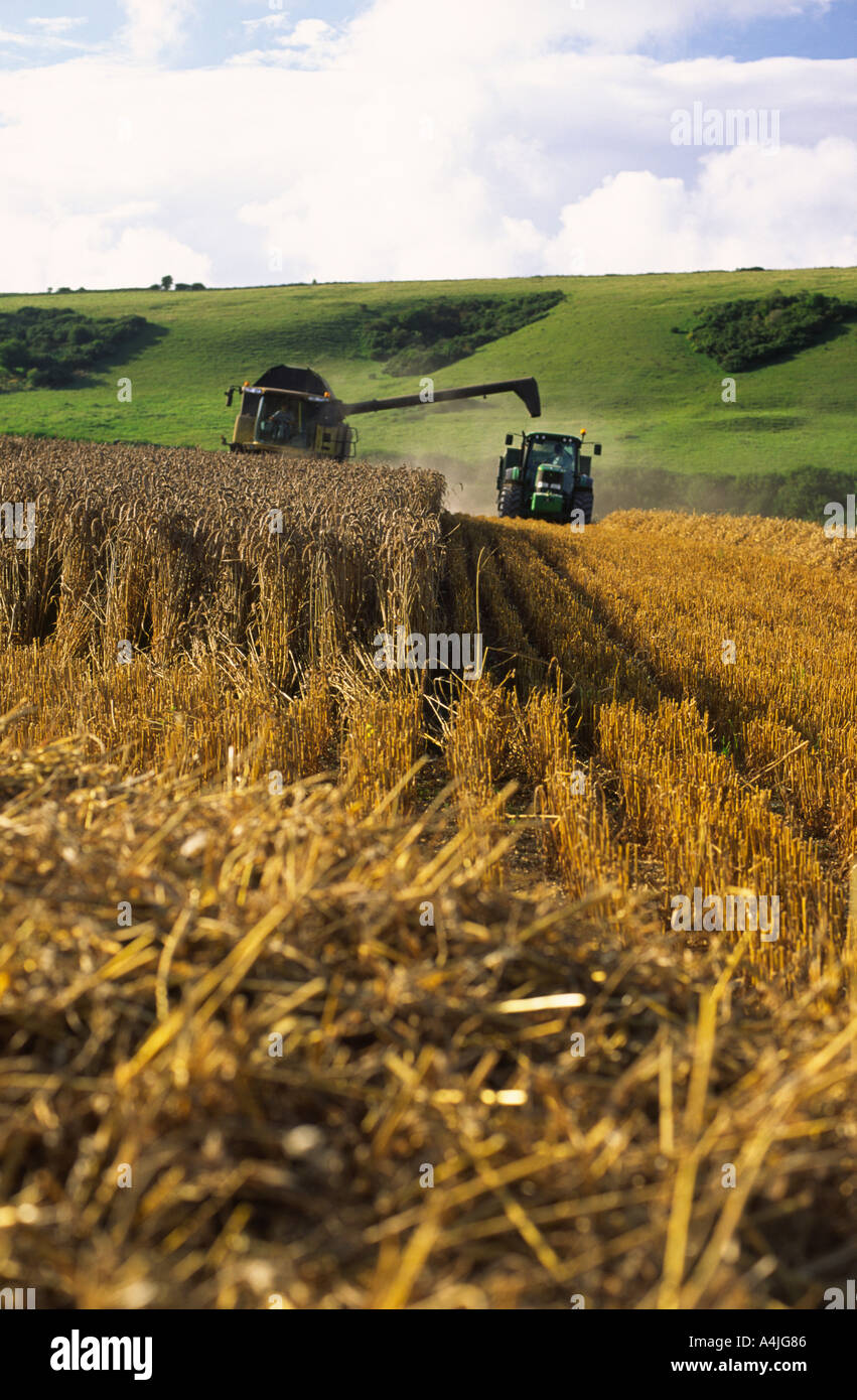 Wheat field 4 seasons hi-res stock photography and images - Alamy