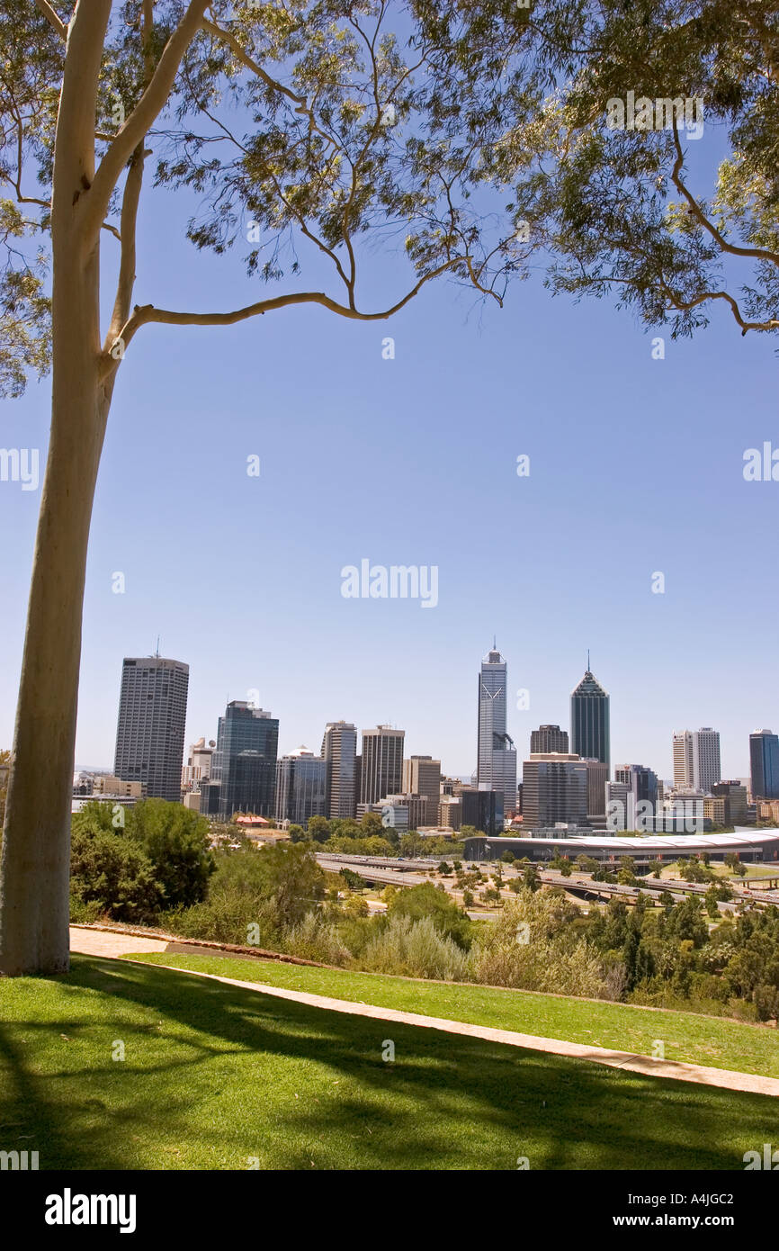 View of Perth city and skyline from Kings Park Western Australia Stock ...