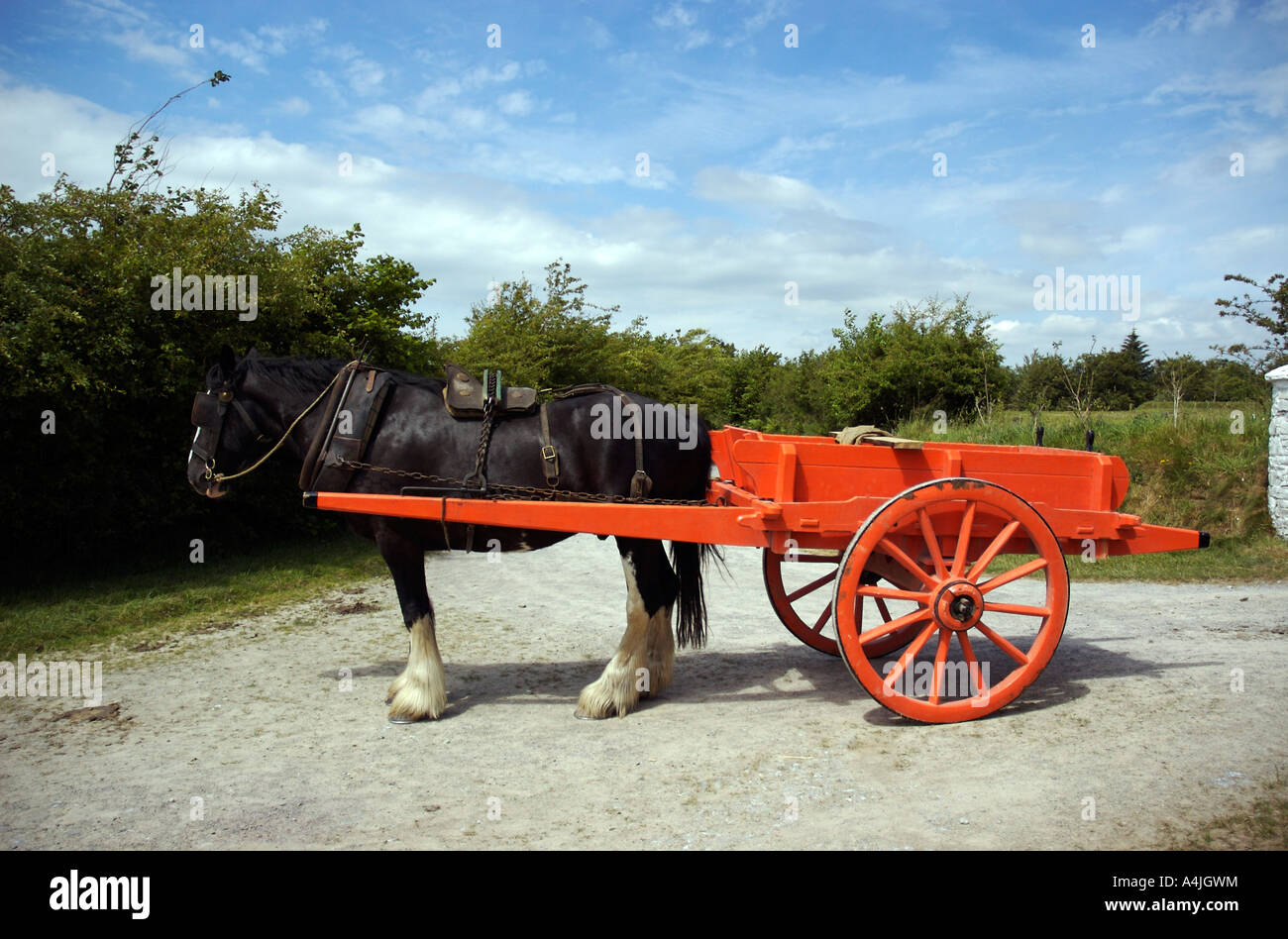 Horse & cart at Muckross Farm, Killarney, County Kerry, Ireland Stock ...