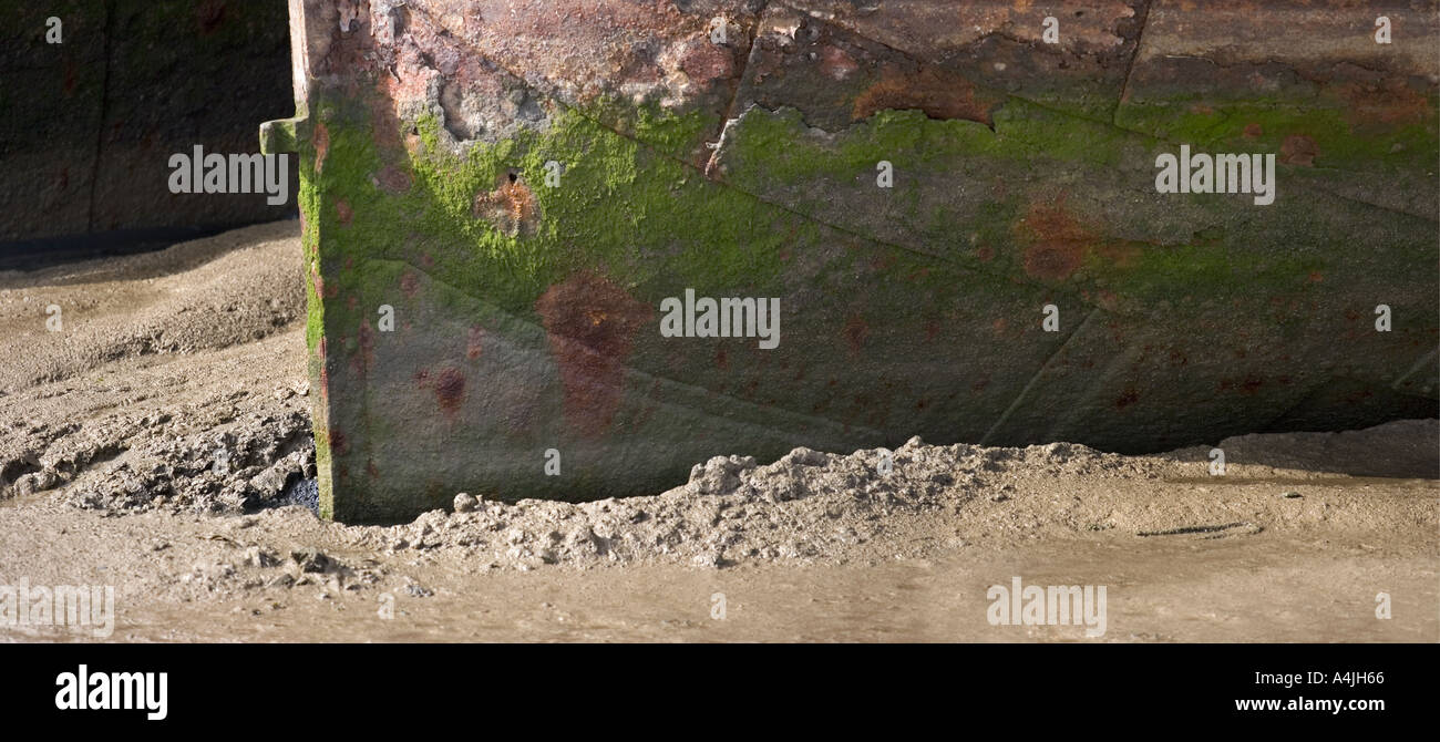 Algae grows on the rusting hull of a ship at low tide Stock Photo - Alamy