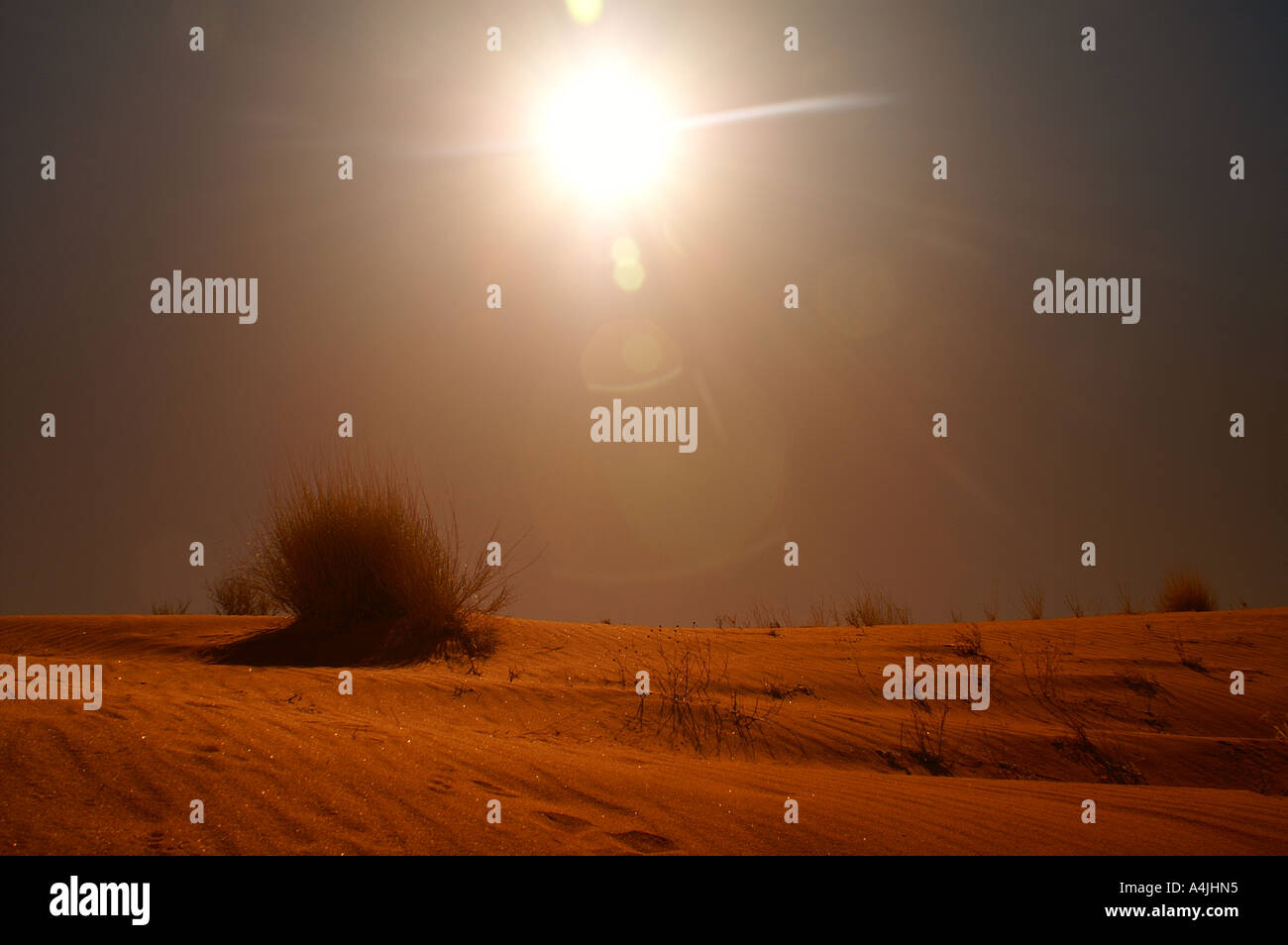 Unbearable heat hi-res stock photography and images - Alamy