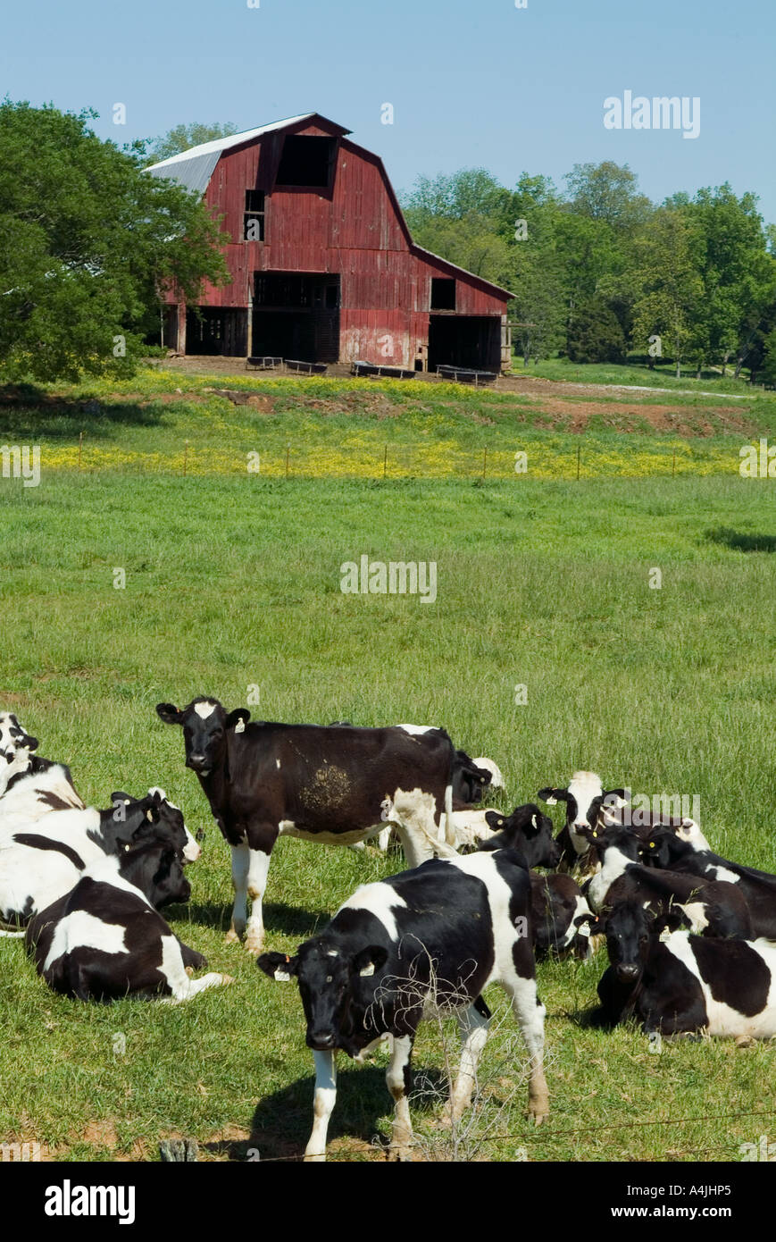 Old cowsheds hi-res stock photography and images - Alamy