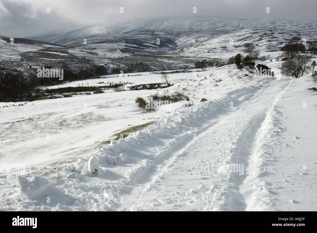 Birse hi-res stock photography and images - Alamy