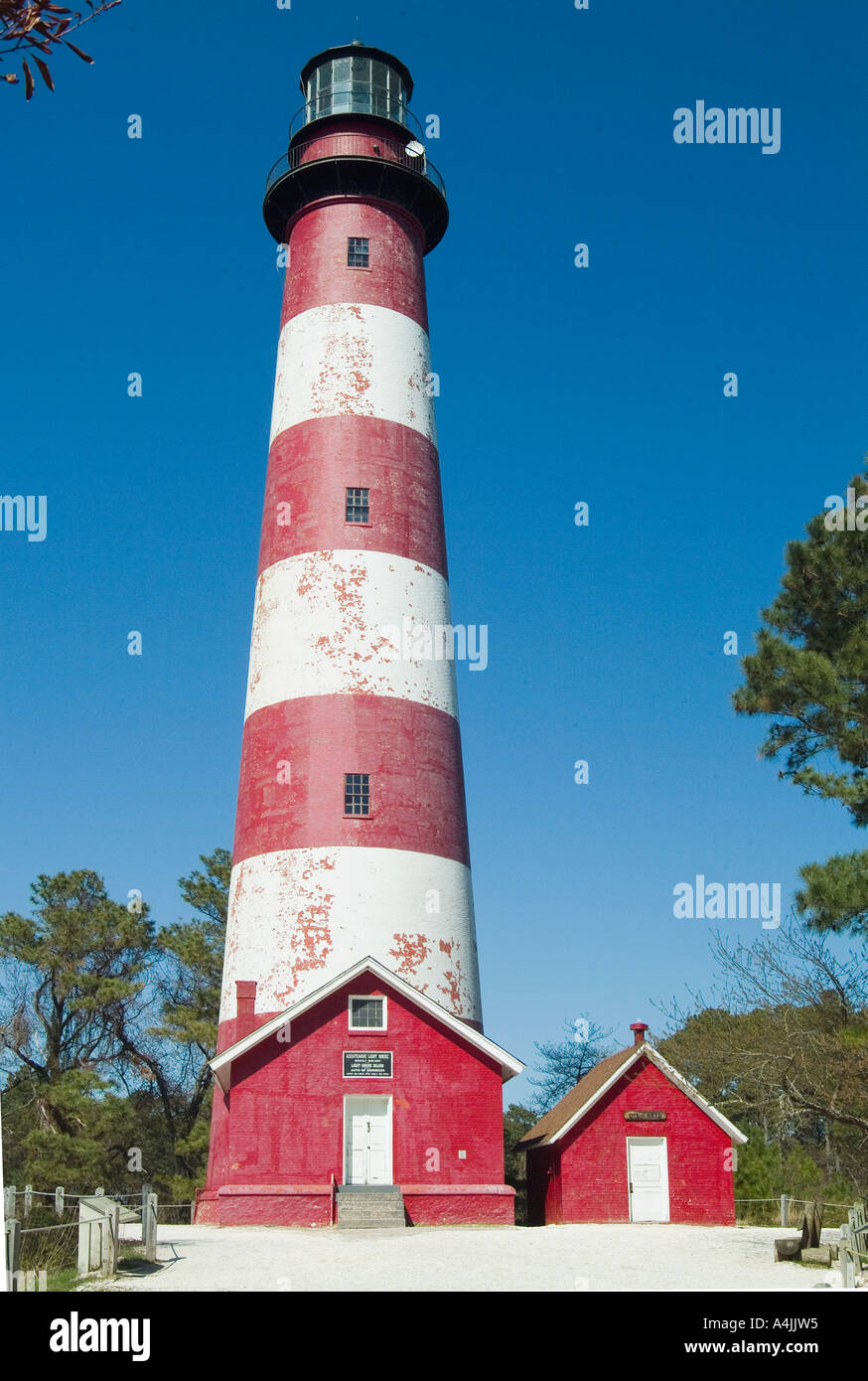Assateague Lighthouse, Chincoteague, Virginia Stock Photo - Alamy