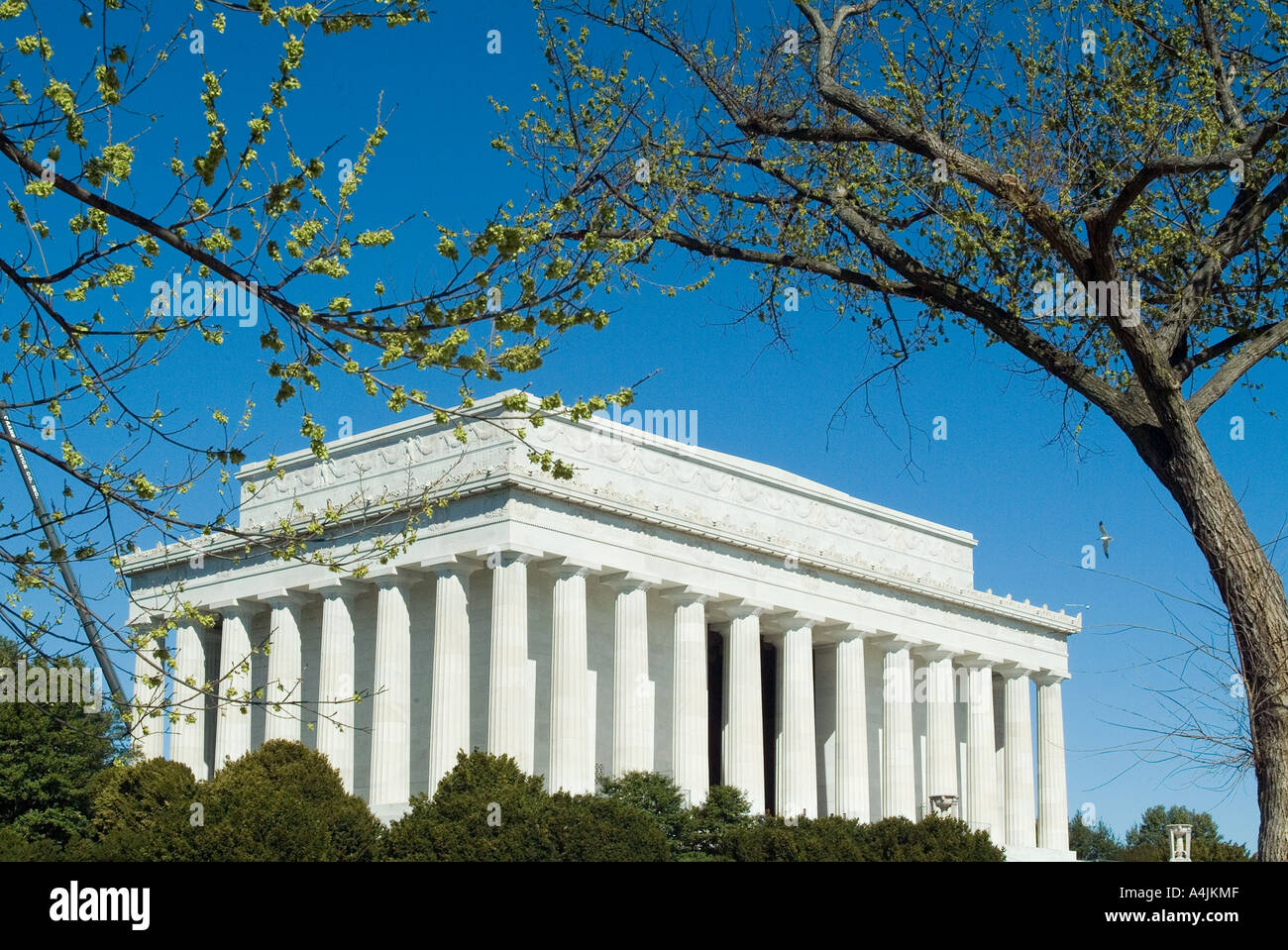Lincoln Memorial, Washington DC, 1922 Architect: Henry Bacon Stock ...
