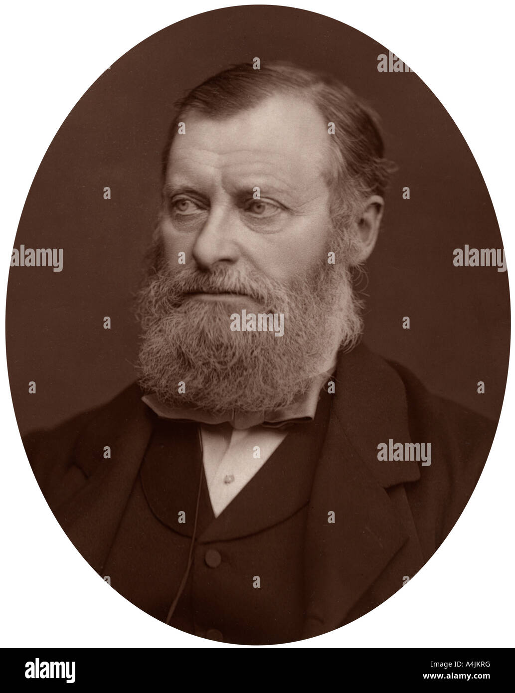 William Edward Forster MP, 1878.Artist: Lock & Whitfield Stock Photo ...