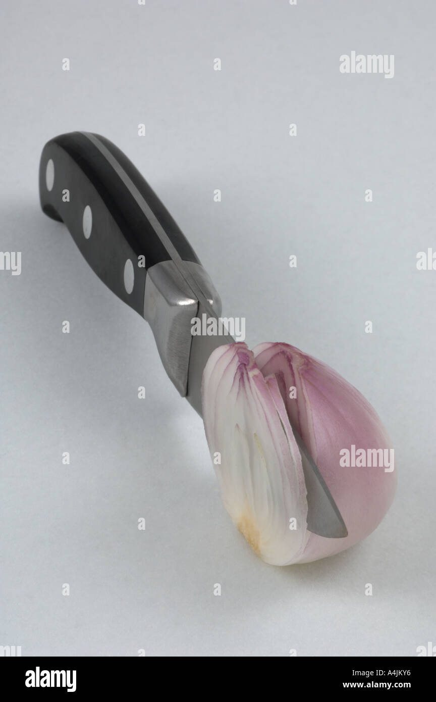 Kitchen vegetable knife slicing an onion Stock Photo - Alamy