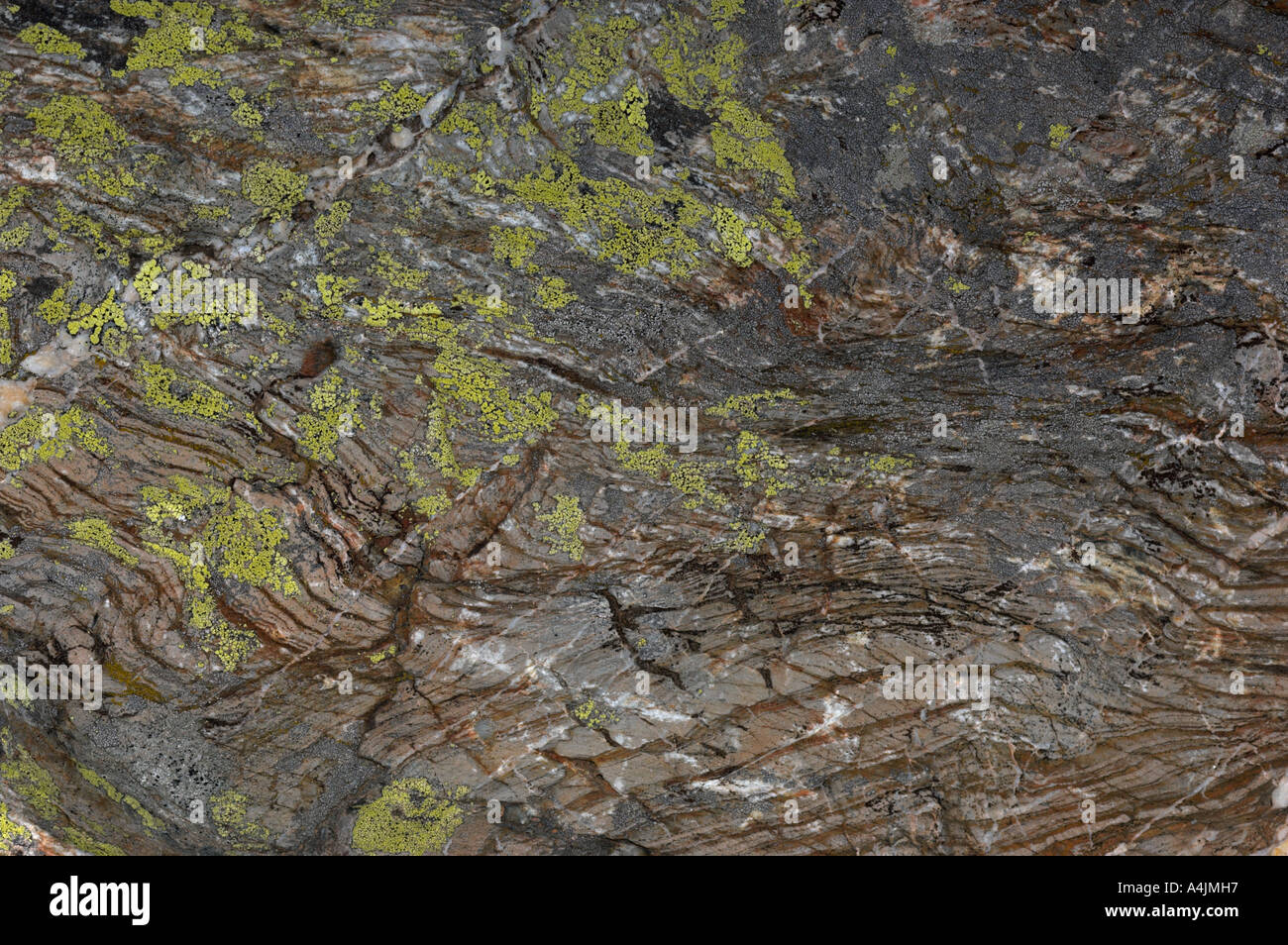 Sedimentary rock covered by lichen Pyrenees mountains Spain Stock Photo ...