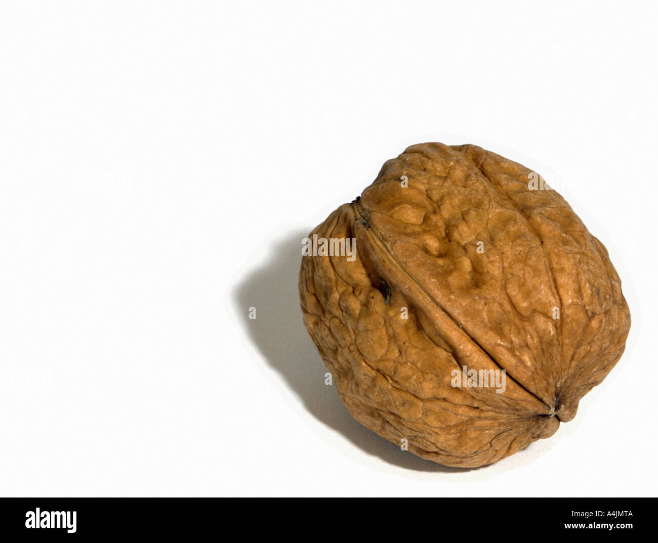 Weight of shell Cut Out Stock Images & Pictures - Alamy