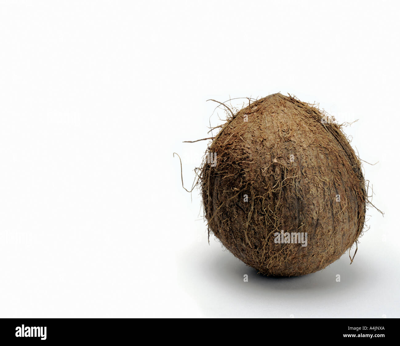 Hairy coconut hi-res stock photography and images - Alamy
