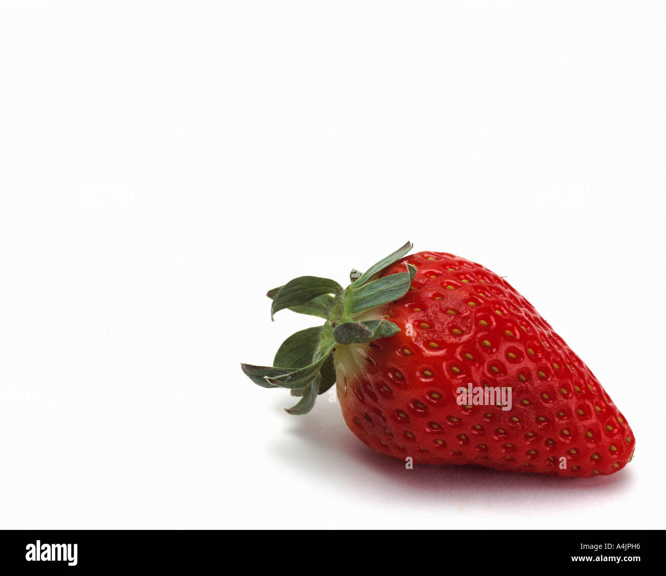 Genus of strawberry hi-res stock photography and images - Alamy
