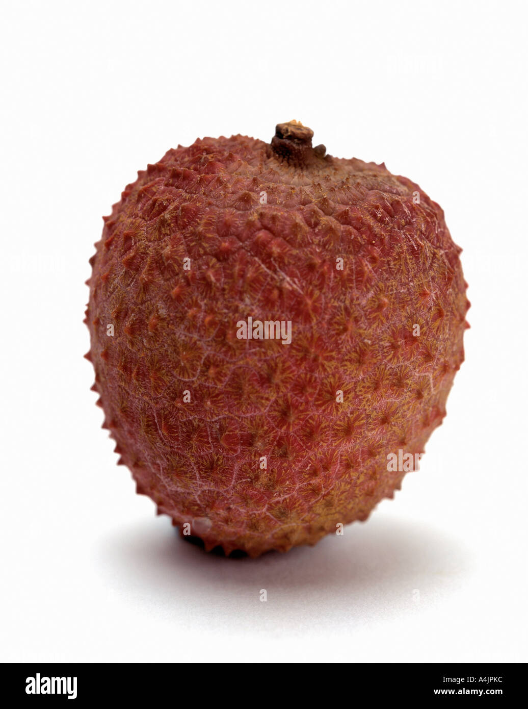 Fat rind Cut Out Stock Images & Pictures - Alamy