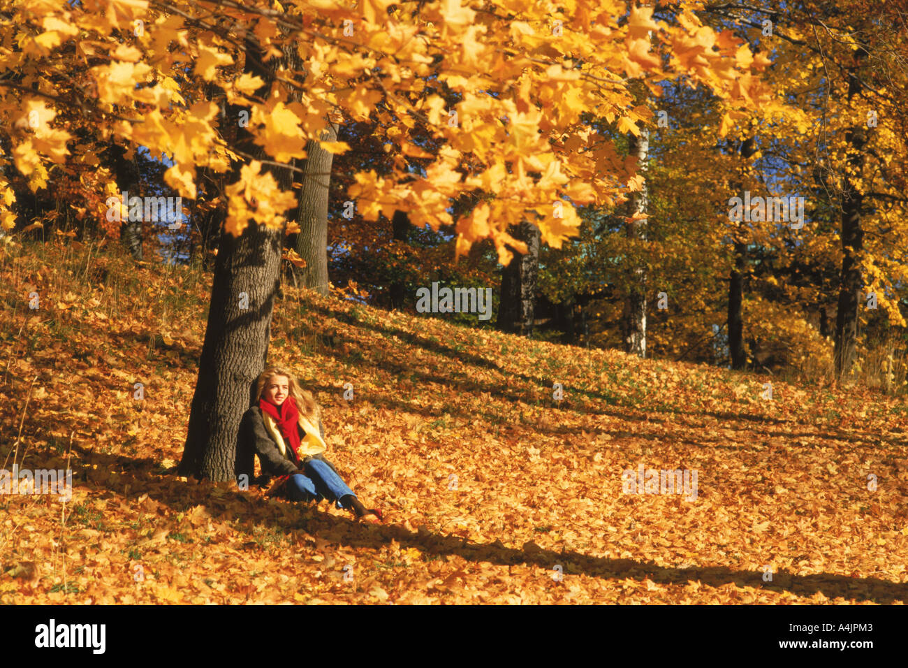 Beautiful blond sitting on fallen autumn leaves under tree in Stockholm ...