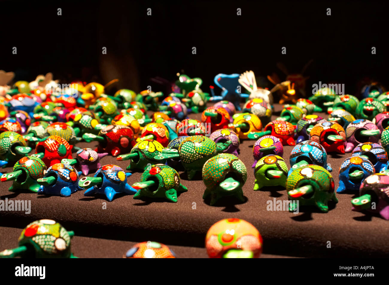 Gold turtles hi-res stock photography and images - Alamy