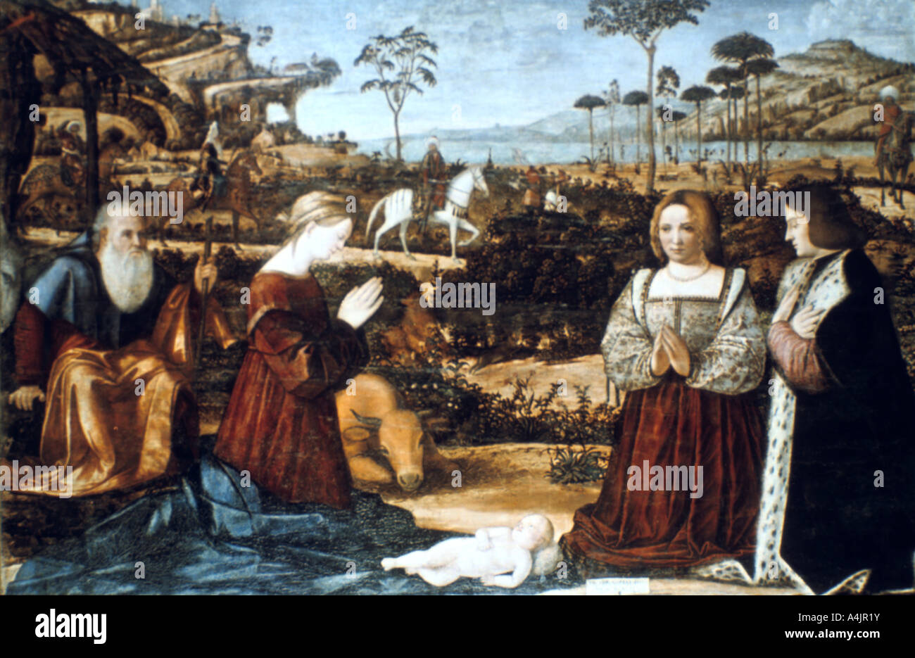 Vittore carpaccio carpaccio hi-res stock photography and images - Alamy