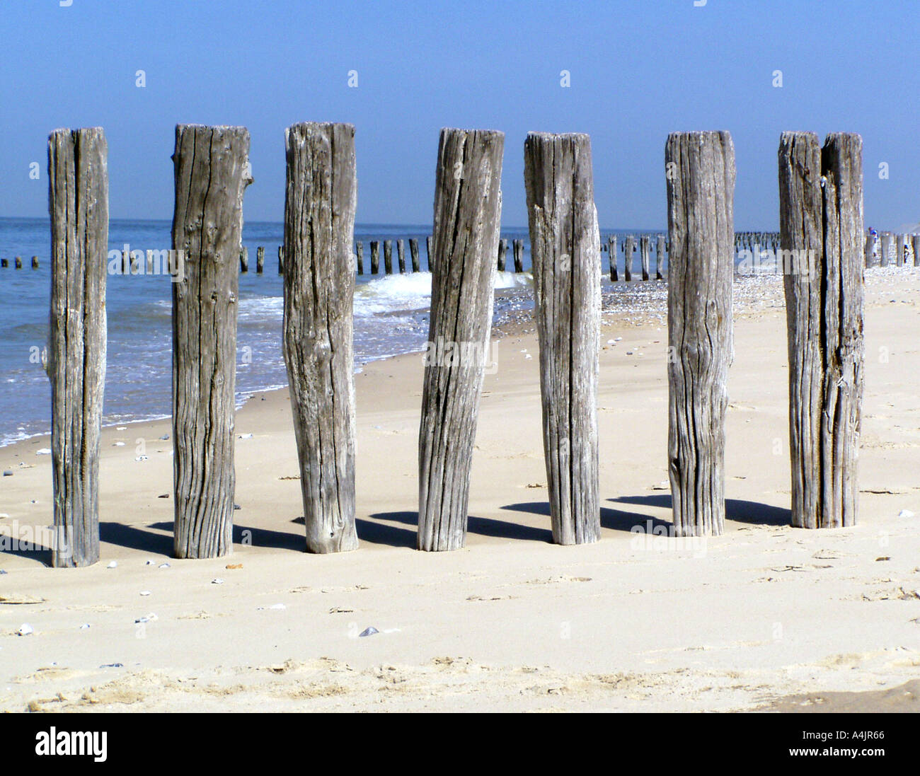 french beach line of wooden upright groynes, fine sand blue sea & blue ...