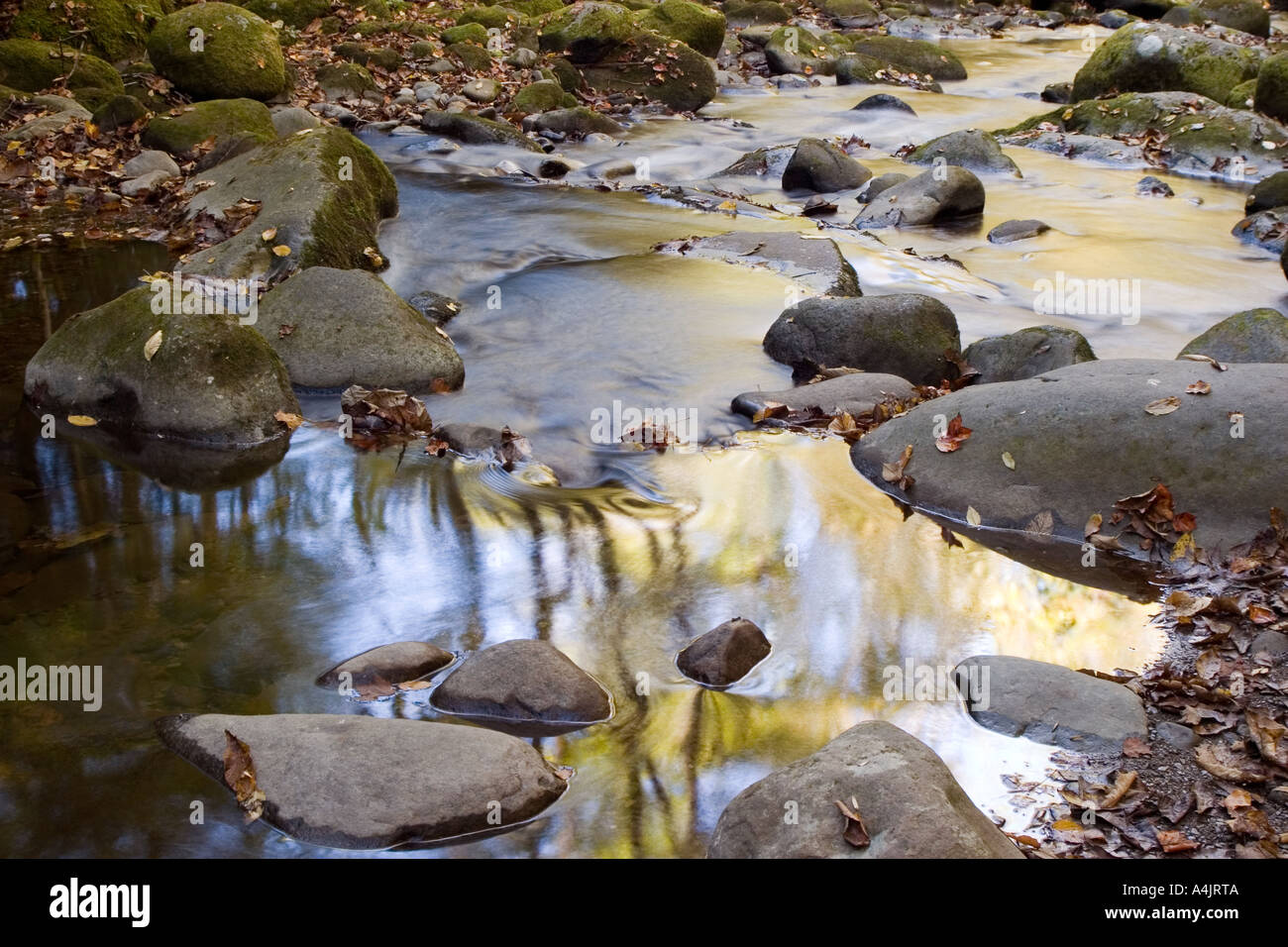 Roaring fork motor nature trail horizontal hi-res stock photography and ...