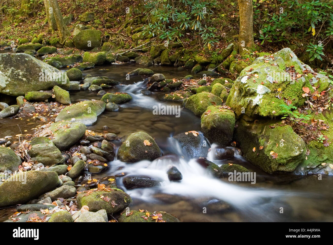 The Great Smoky Mountains National Park Roaring Fork Motor Nature Trail ...