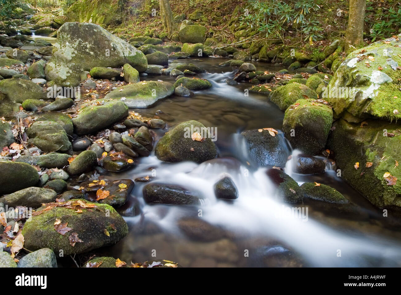 Roaring fork motor nature trail horizontal hi-res stock photography and ...