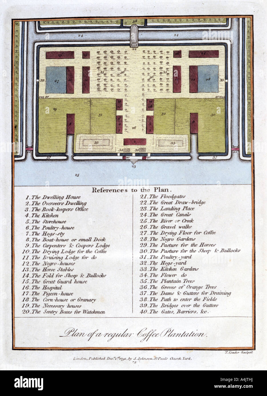 'Plan of a Regular Coffee Plantation', 1813. Artist: John Gabriel Stedman Stock Photo - Alamy