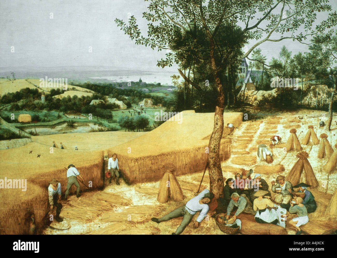 'The Harvesters', 1565. Artist: Pieter Bruegel the Elder Stock Photo ...