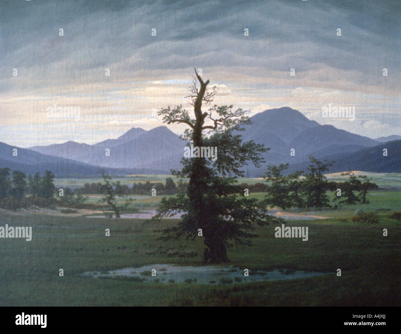 'The Solitary Tree', 1823. Artist: Caspar David Friedrich Stock Photo ...