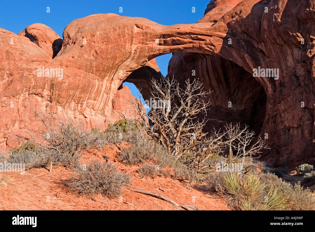 Landscape arch fragile geology hi-res stock photography and images - Alamy
