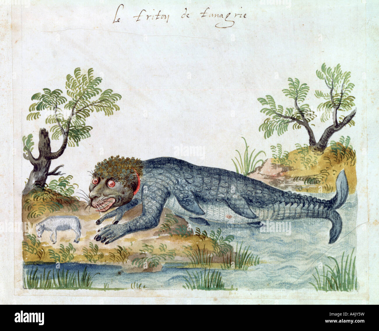 Medieval bestiary hi-res stock photography and images - Alamy