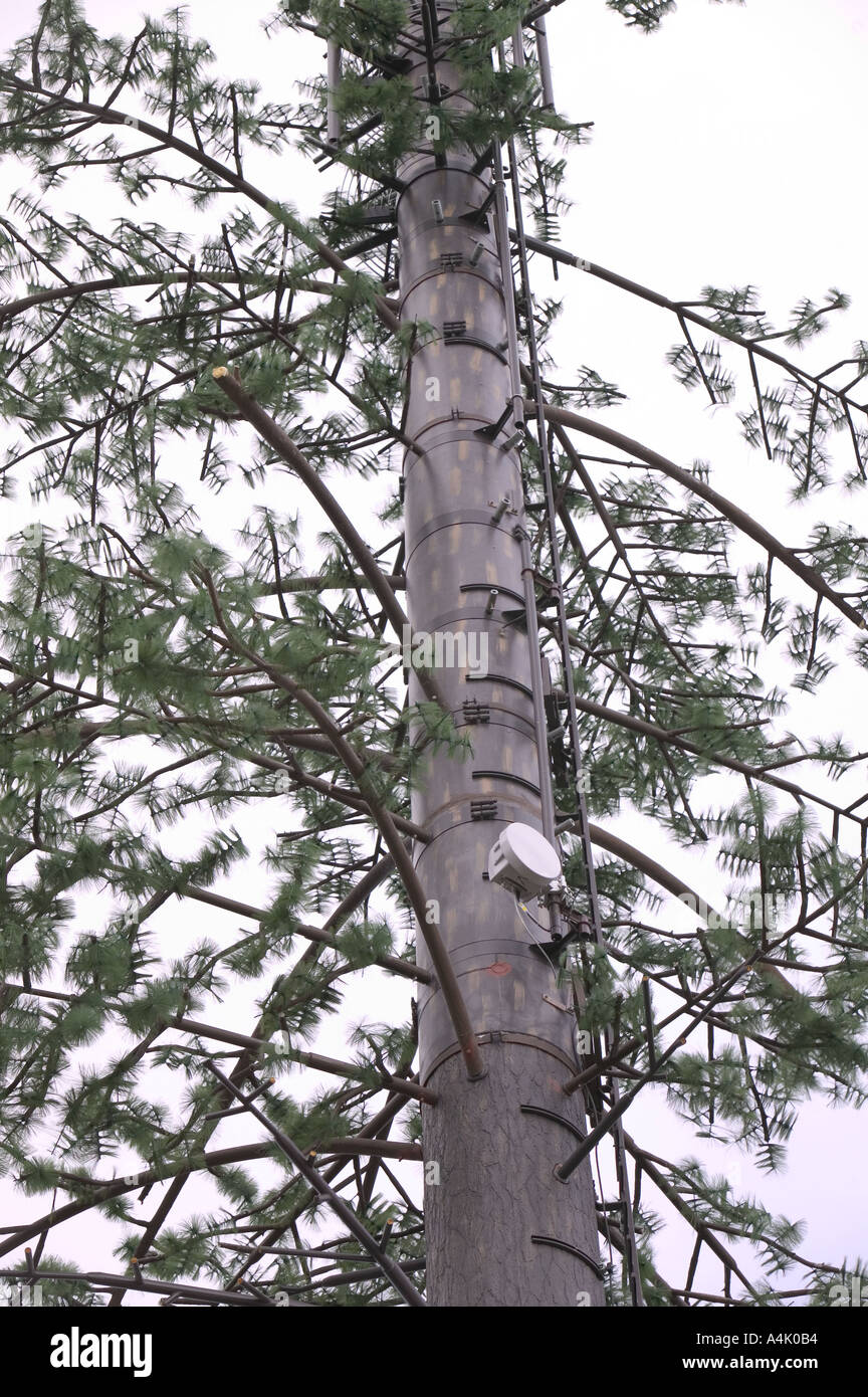 Telecommunications mast disguised as pine tree Stock Photo - Alamy