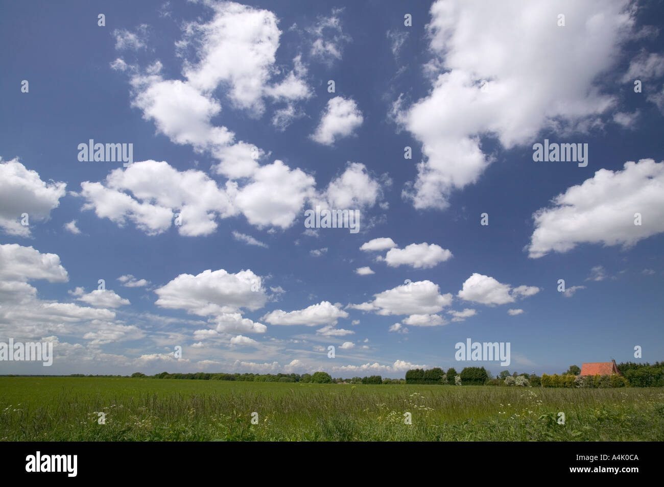 blue skys and clouds over North Norfolk Stock Photo - Alamy