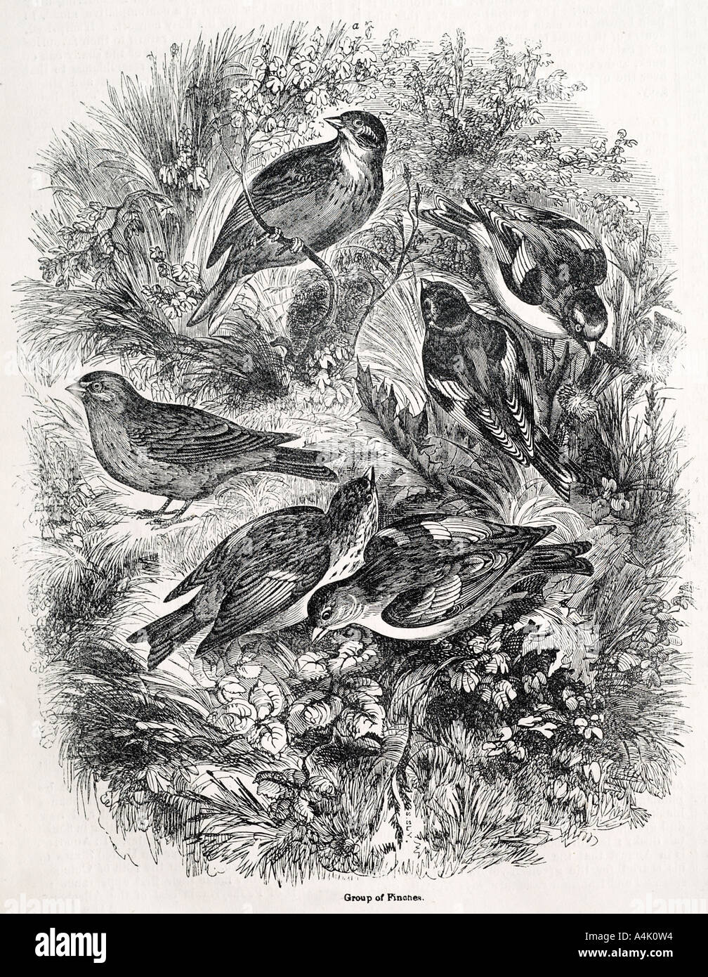 Black archive Cut Out Stock Images & Pictures - Alamy