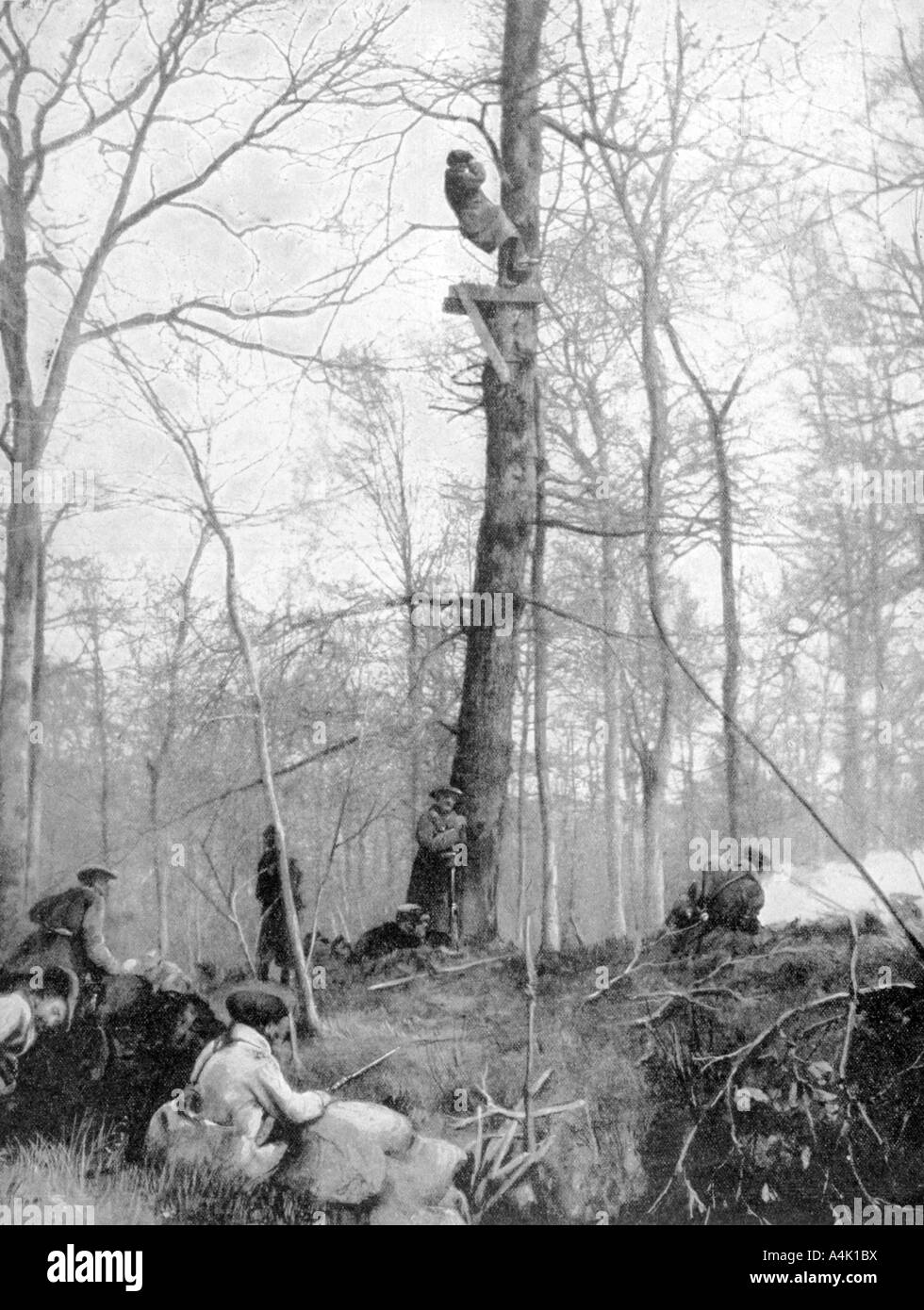 Observation nature Black and White Stock Photos & Images - Alamy