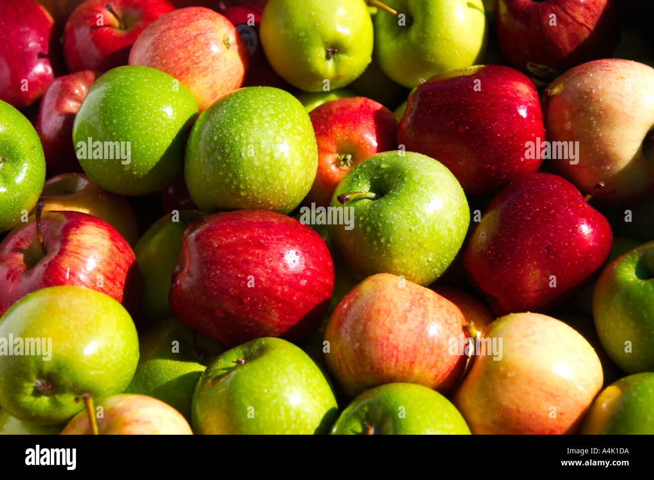 mixed group of apples Stock Photo - Alamy