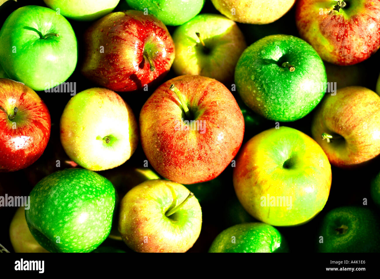 mixed group of various apples Stock Photo - Alamy