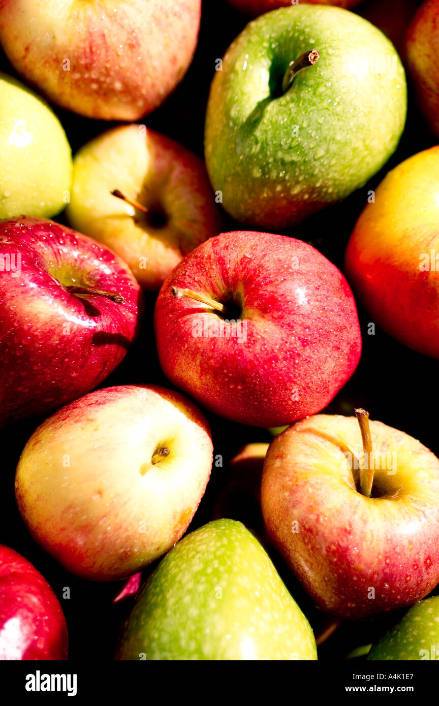 mixed group of various apples Stock Photo - Alamy