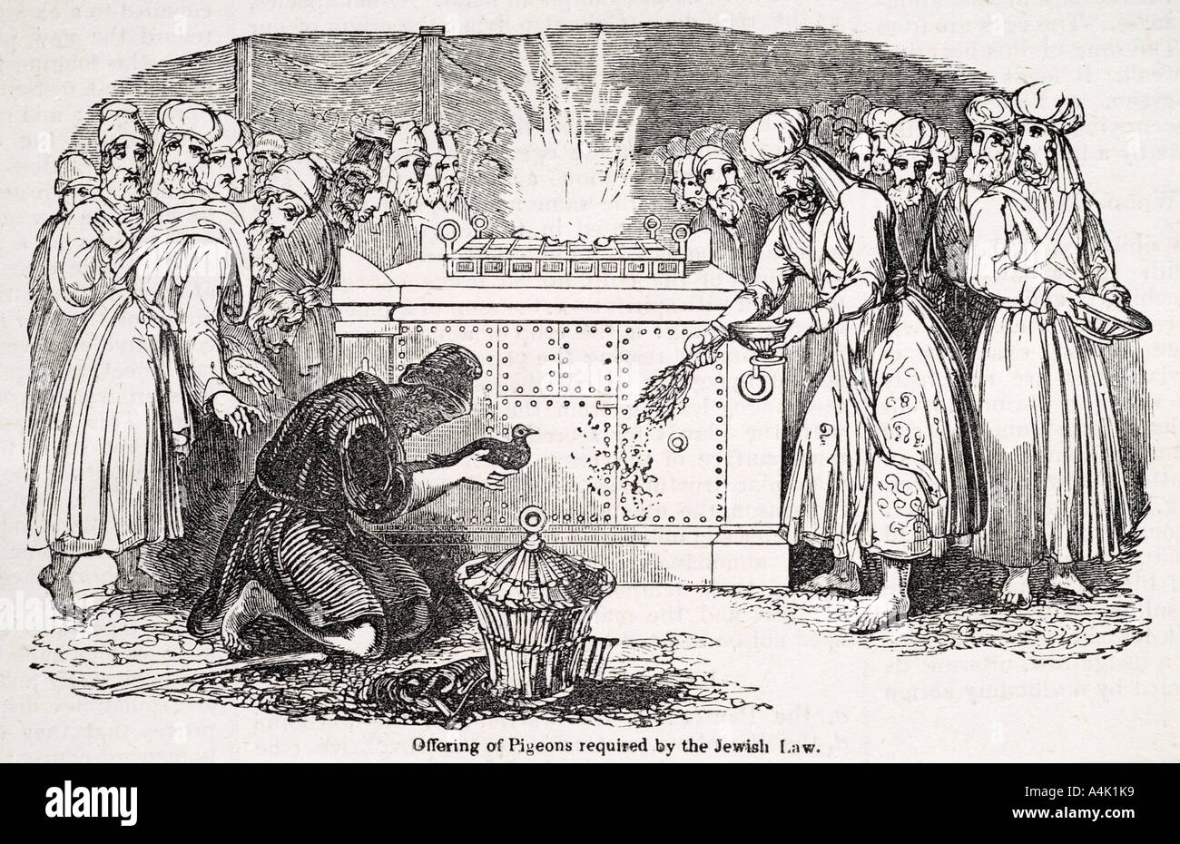 offering pigeons required Jewish law rite ritual sacrifice altar Stock ...