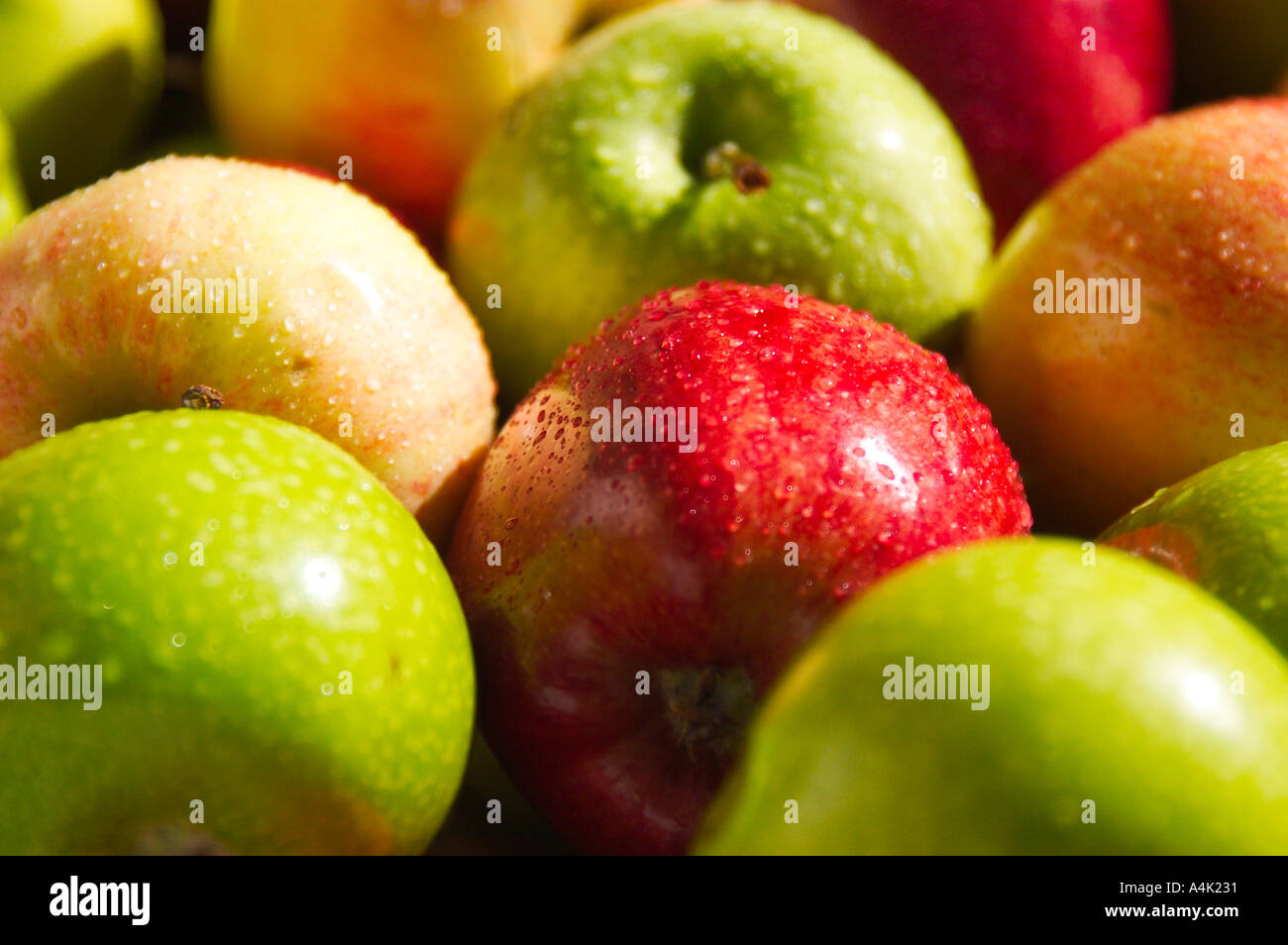 mixed group of apples Stock Photo - Alamy
